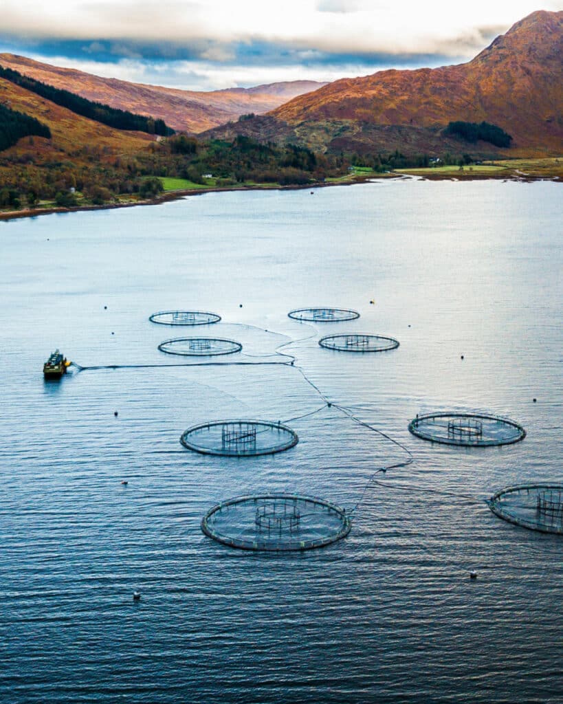 Our Brands - Superior Foods Company