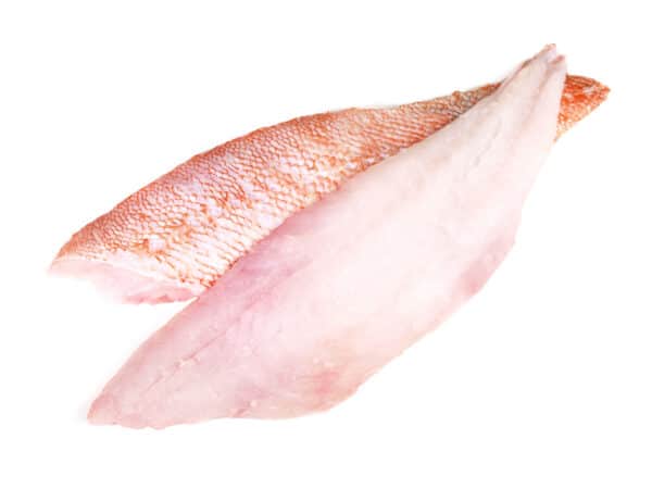 Catch of the Week: Acadian Redfish - Superior Foods Co.