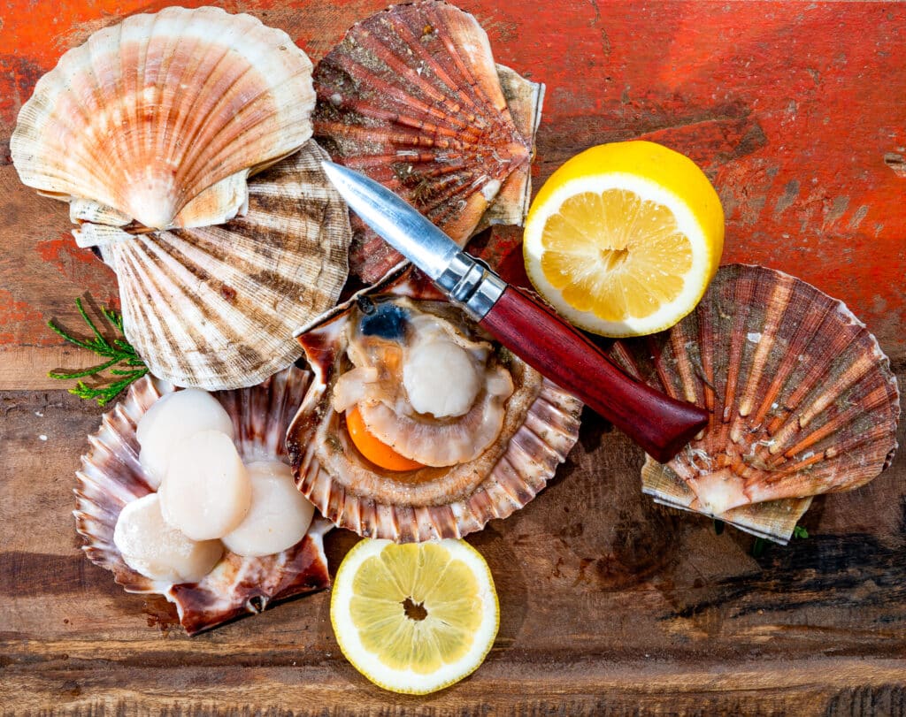 Scallop Market Update - Superior Foods Company